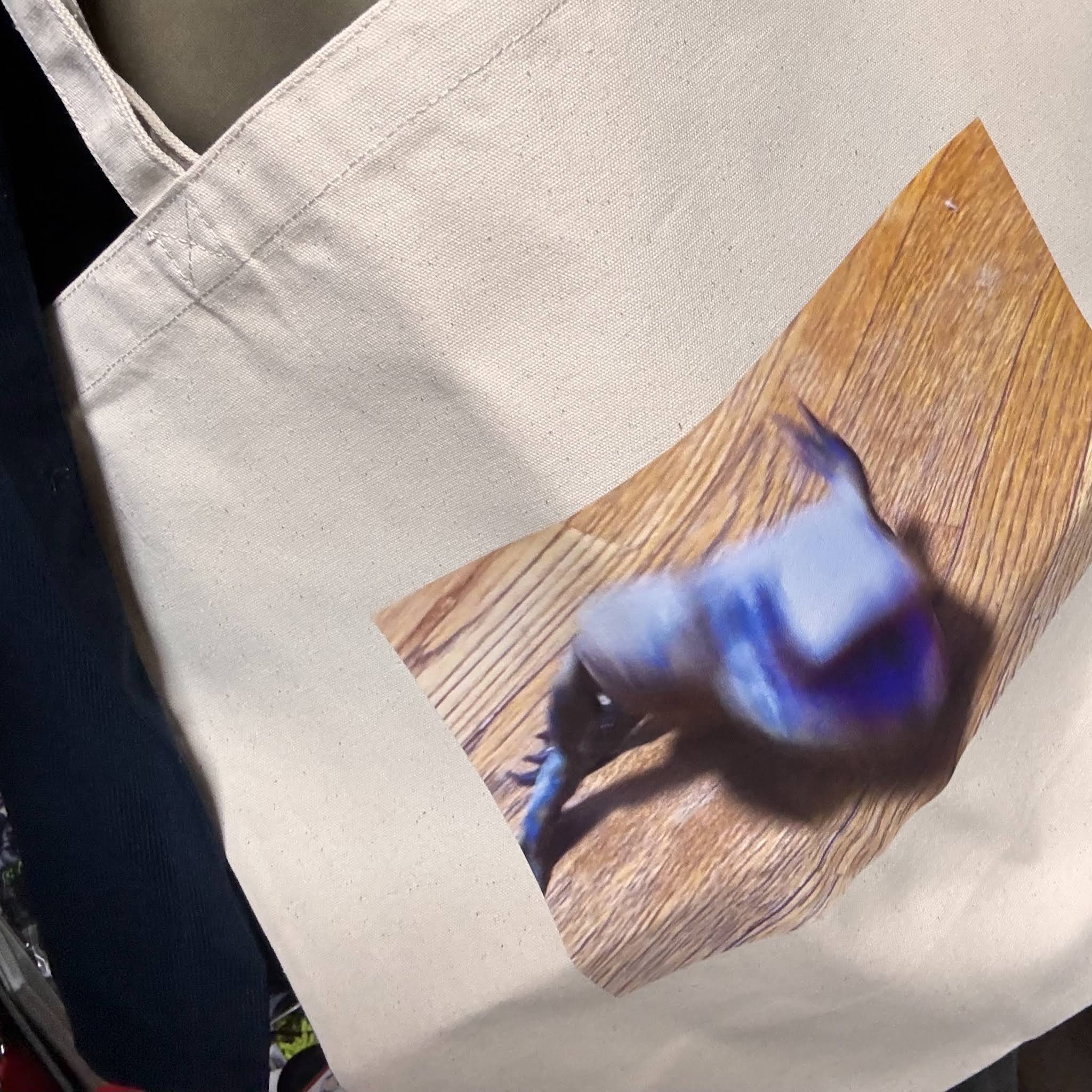 Post from ふぇふぇ