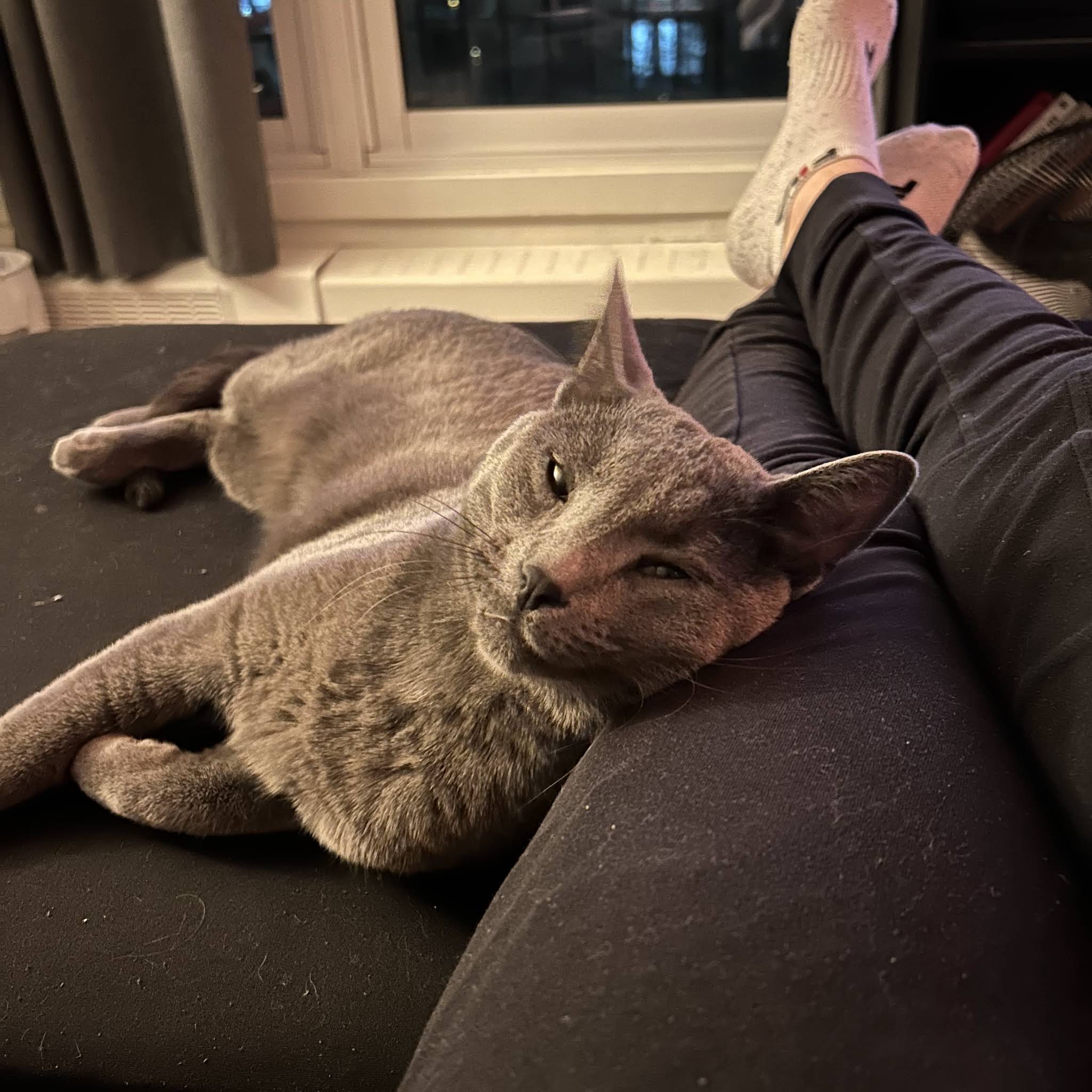 Post from Alex Limon