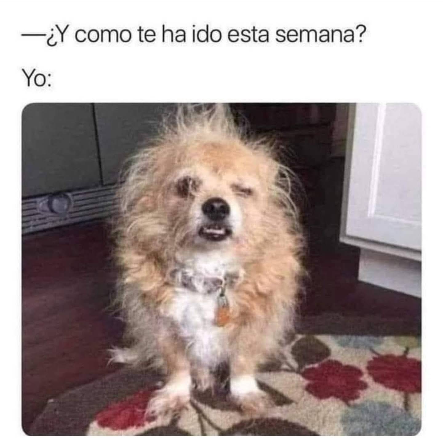 Post from SnowFlake Freak