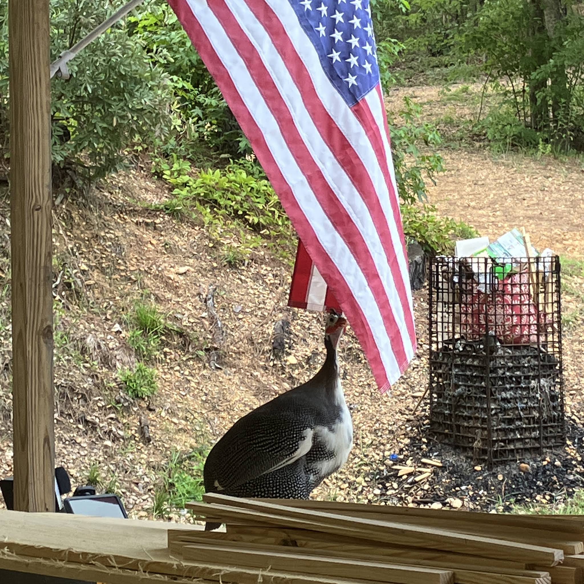 Post from The Clack Shack