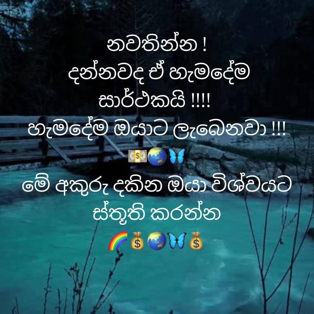 Post from Ayale 1111