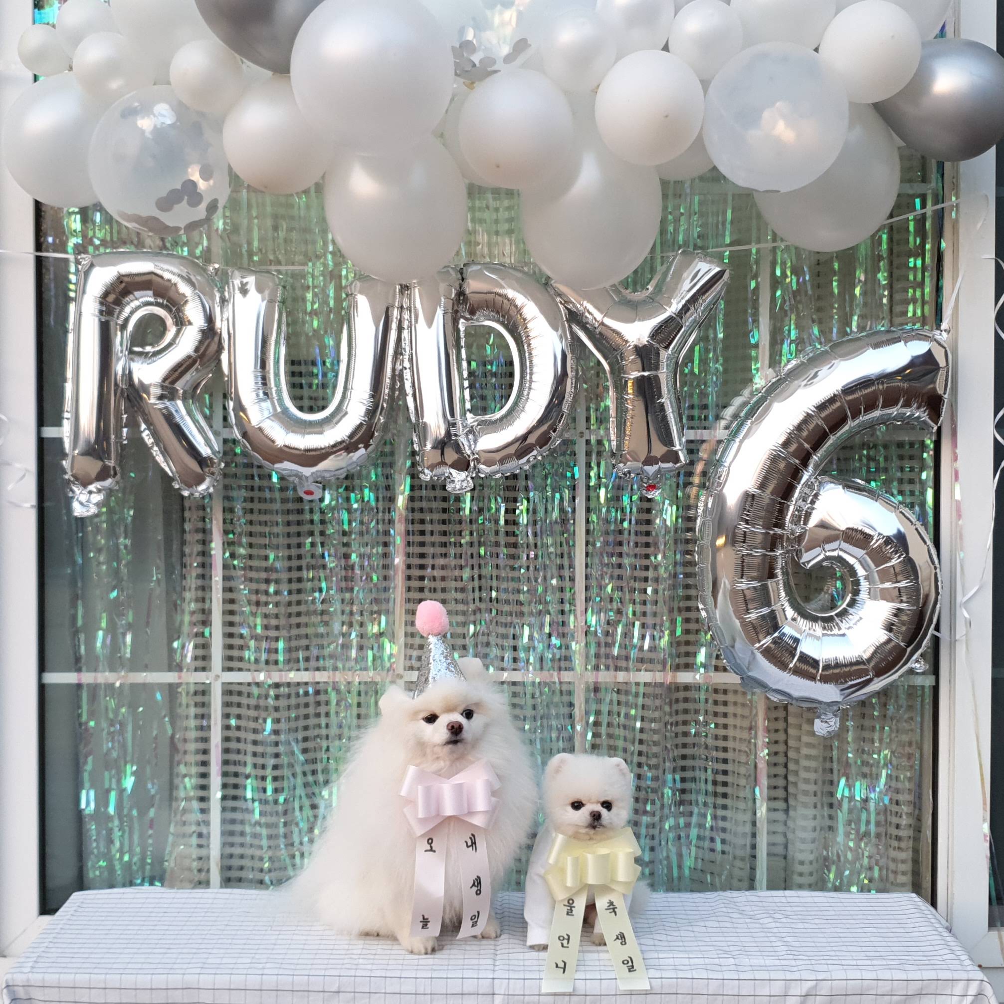 Post from [THE SOY] RuPong house