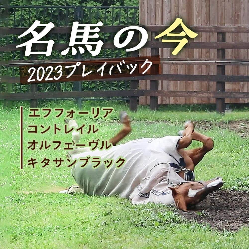 Post from netkeiba ネットケイバ 公式