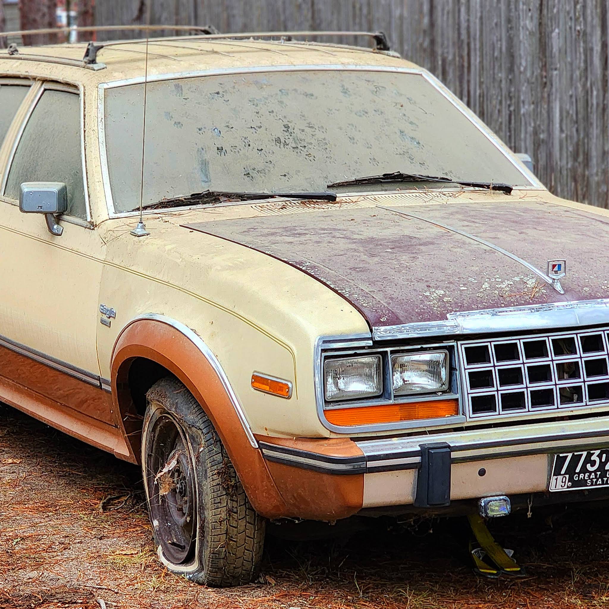 Post from Detail Dane