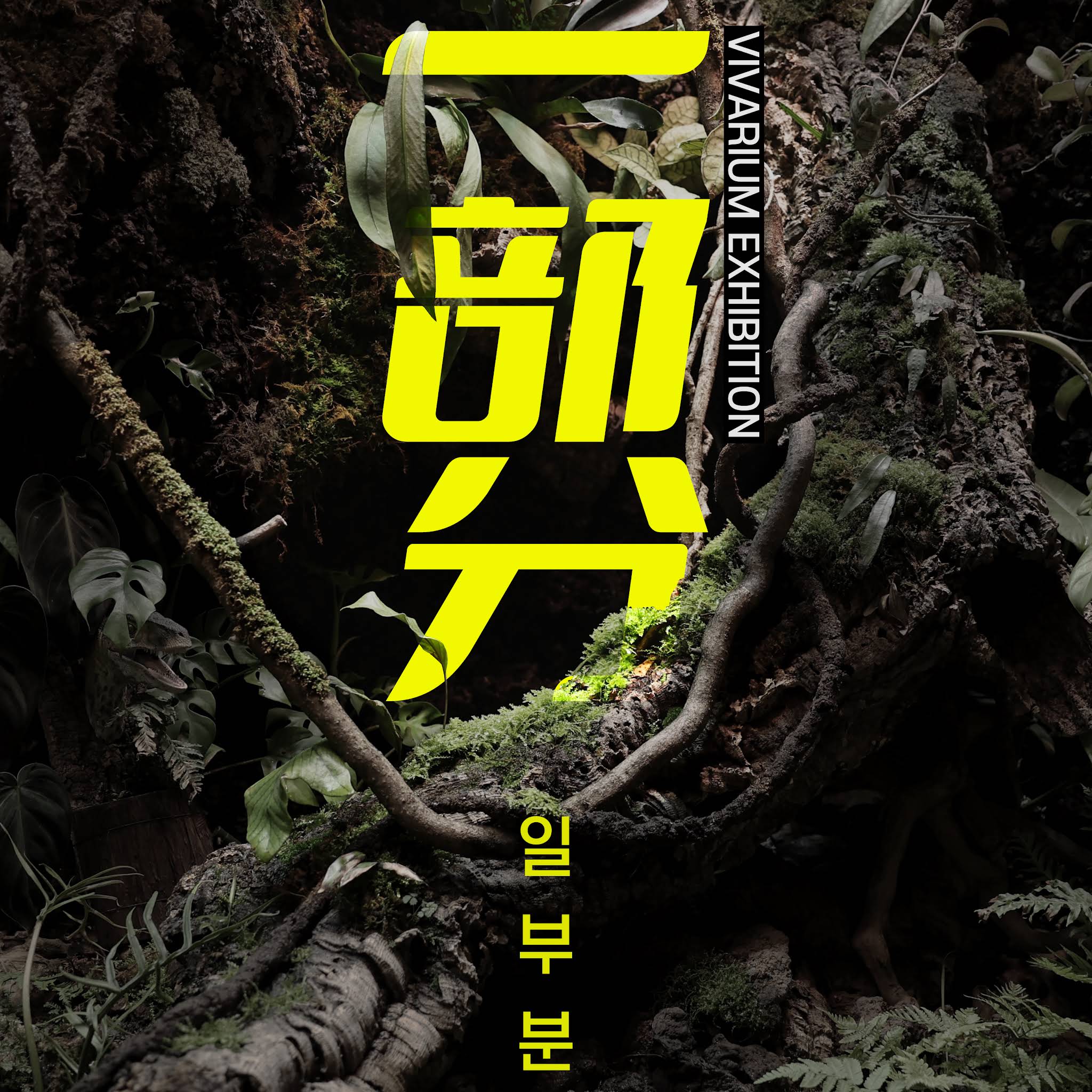 Post from 비오토프 갤러리 biotope gallery