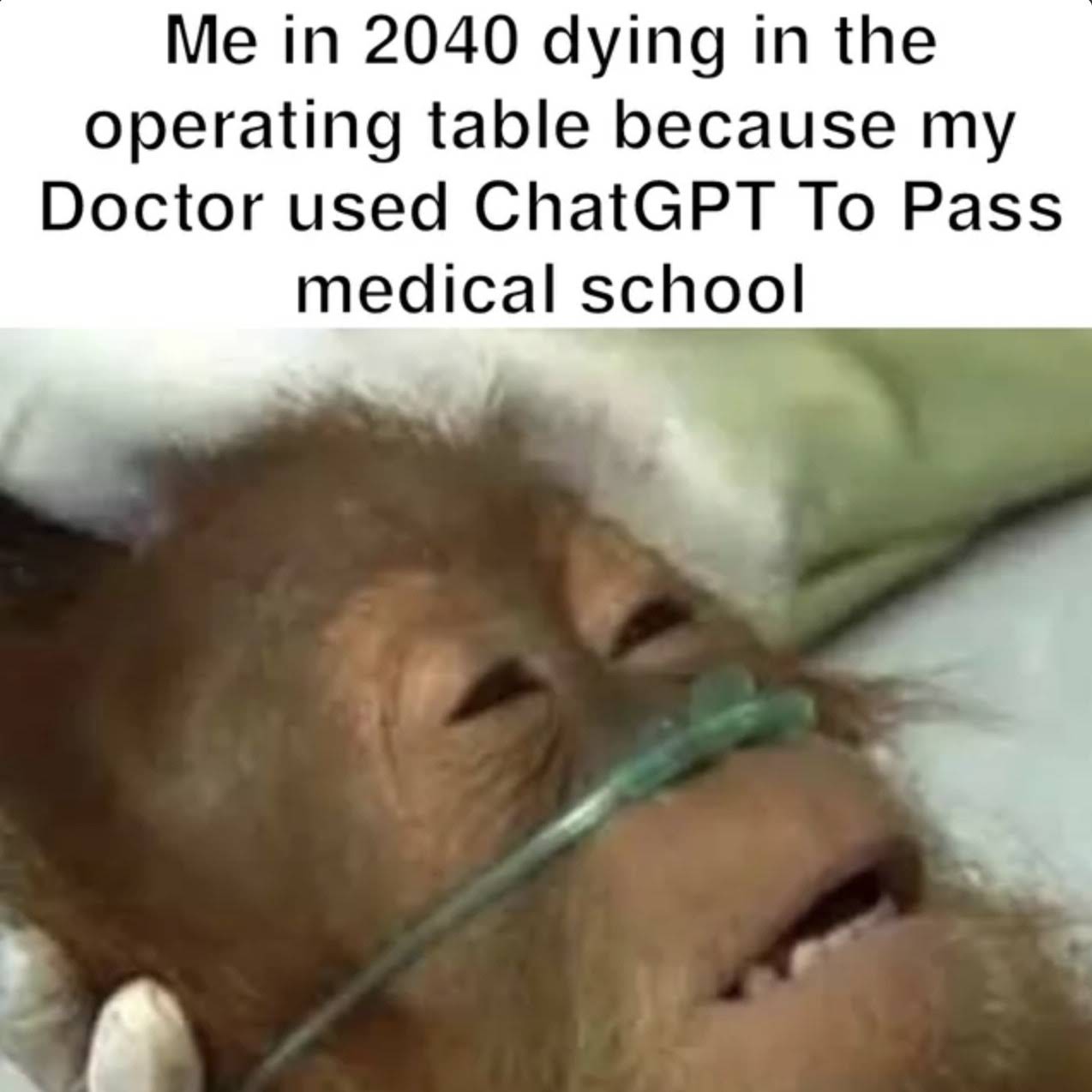 Post from Off Topic Show Memes