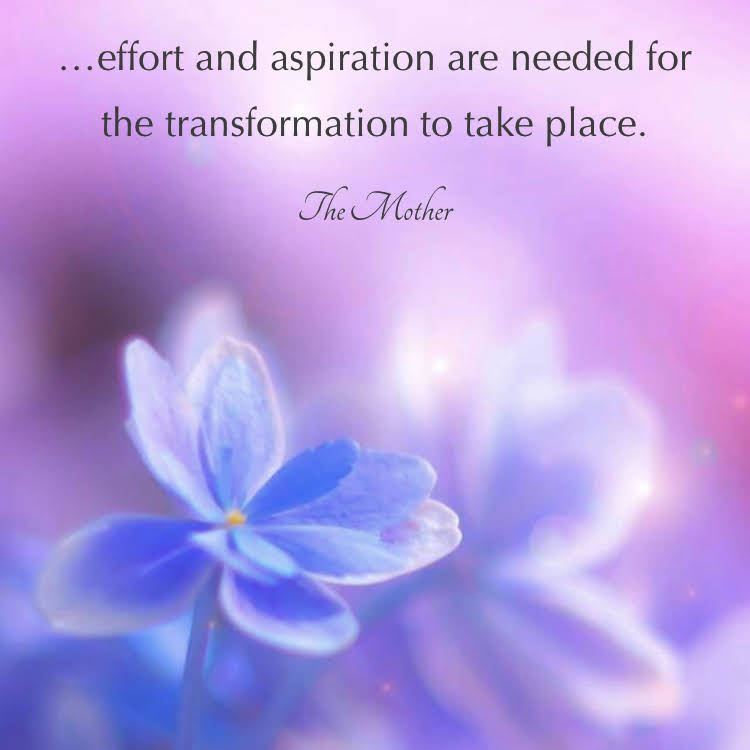 Post from Arvind T Akki Sri Aurobindo Ashram, Pondicherry