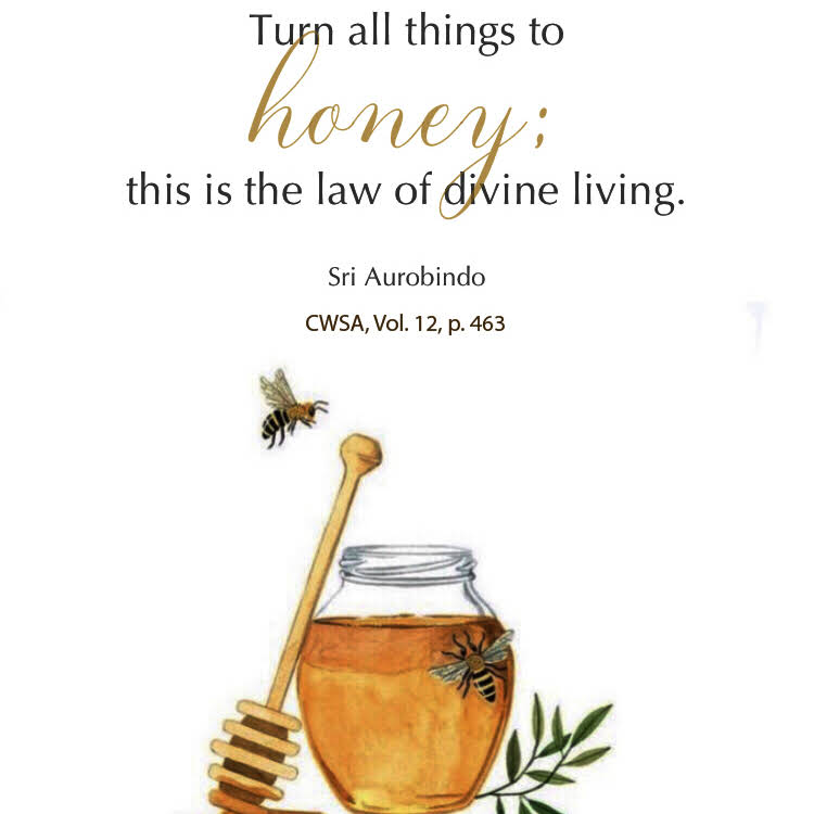 Post from Arvind T Akki Sri Aurobindo Ashram, Pondicherry