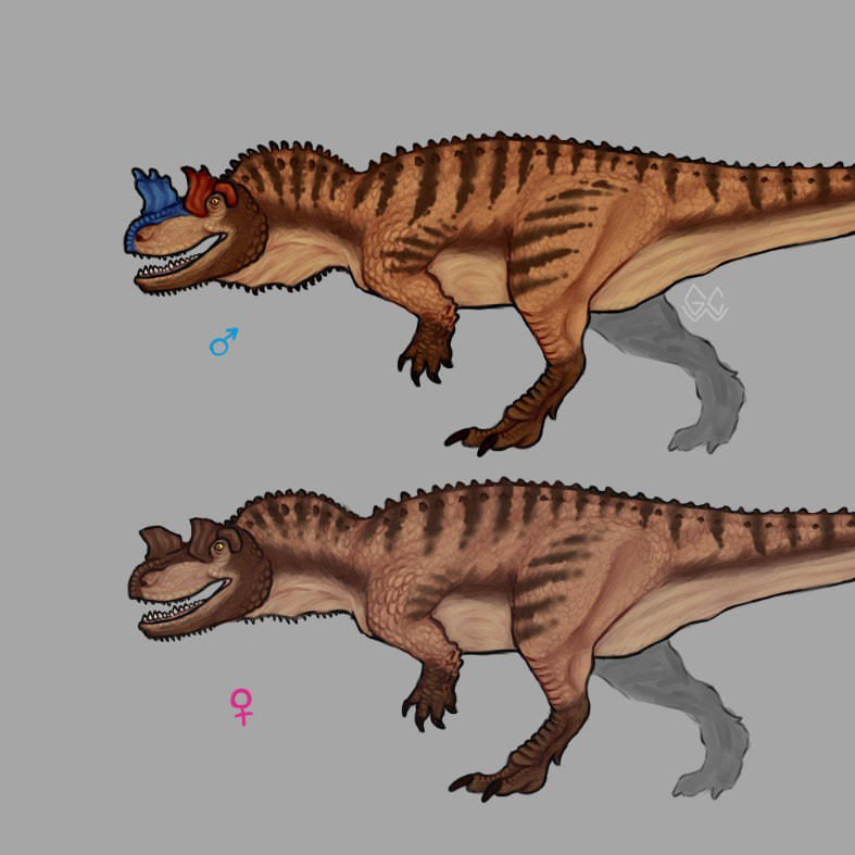 Post from Dapper Player