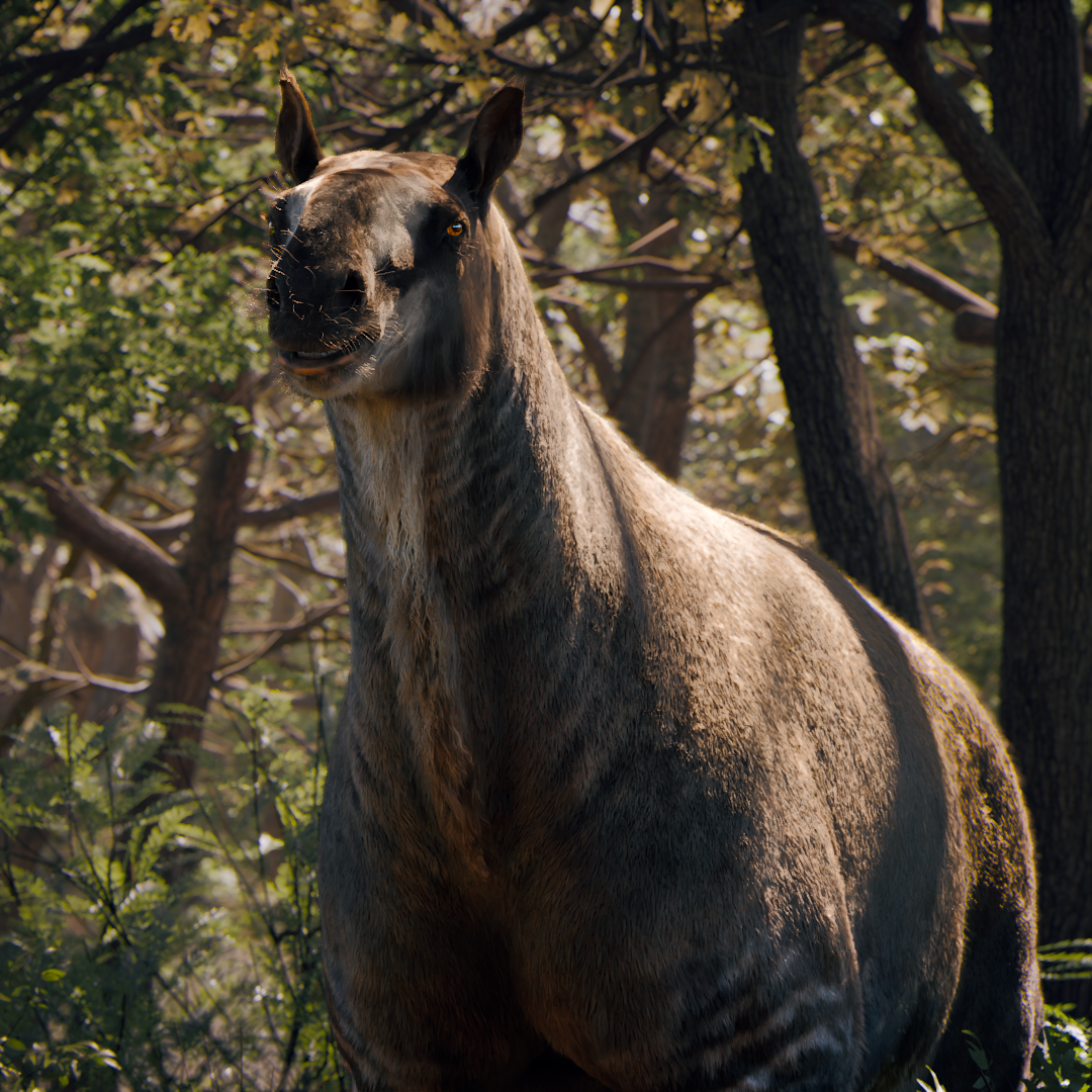 Post from Digital Duck