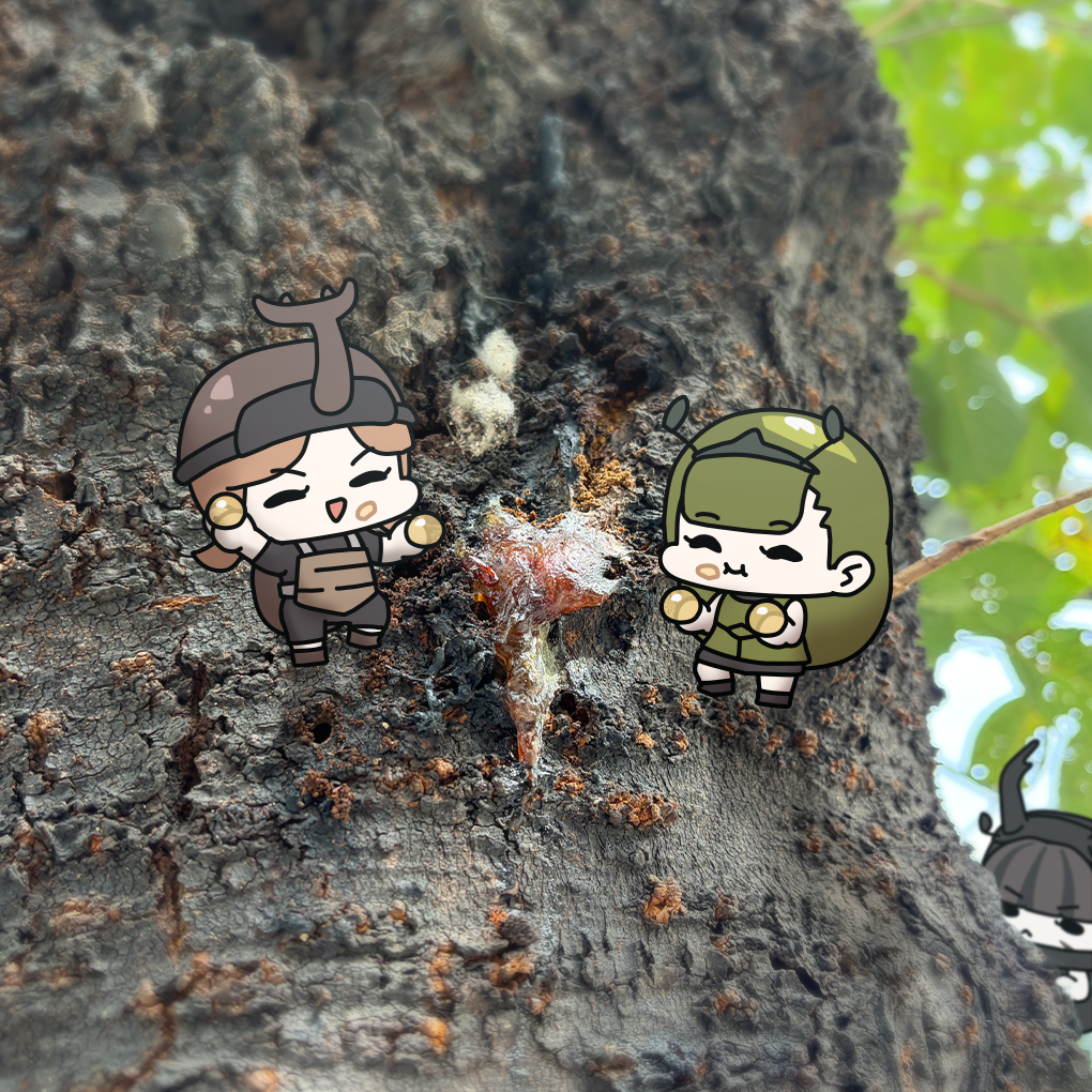 Post from BlueSechi