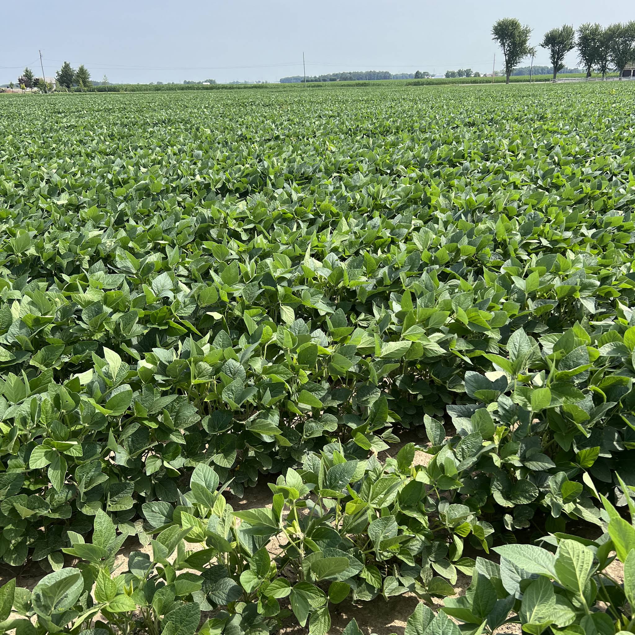 Post from Pleasant View Farms