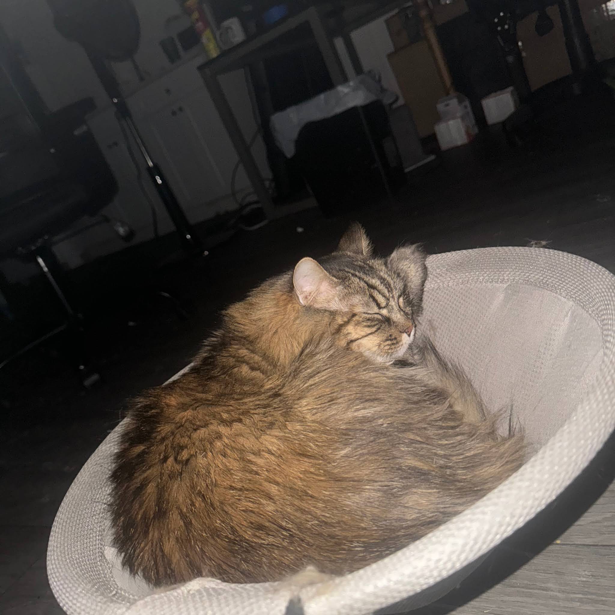 Post from Modder Paul Scambaits