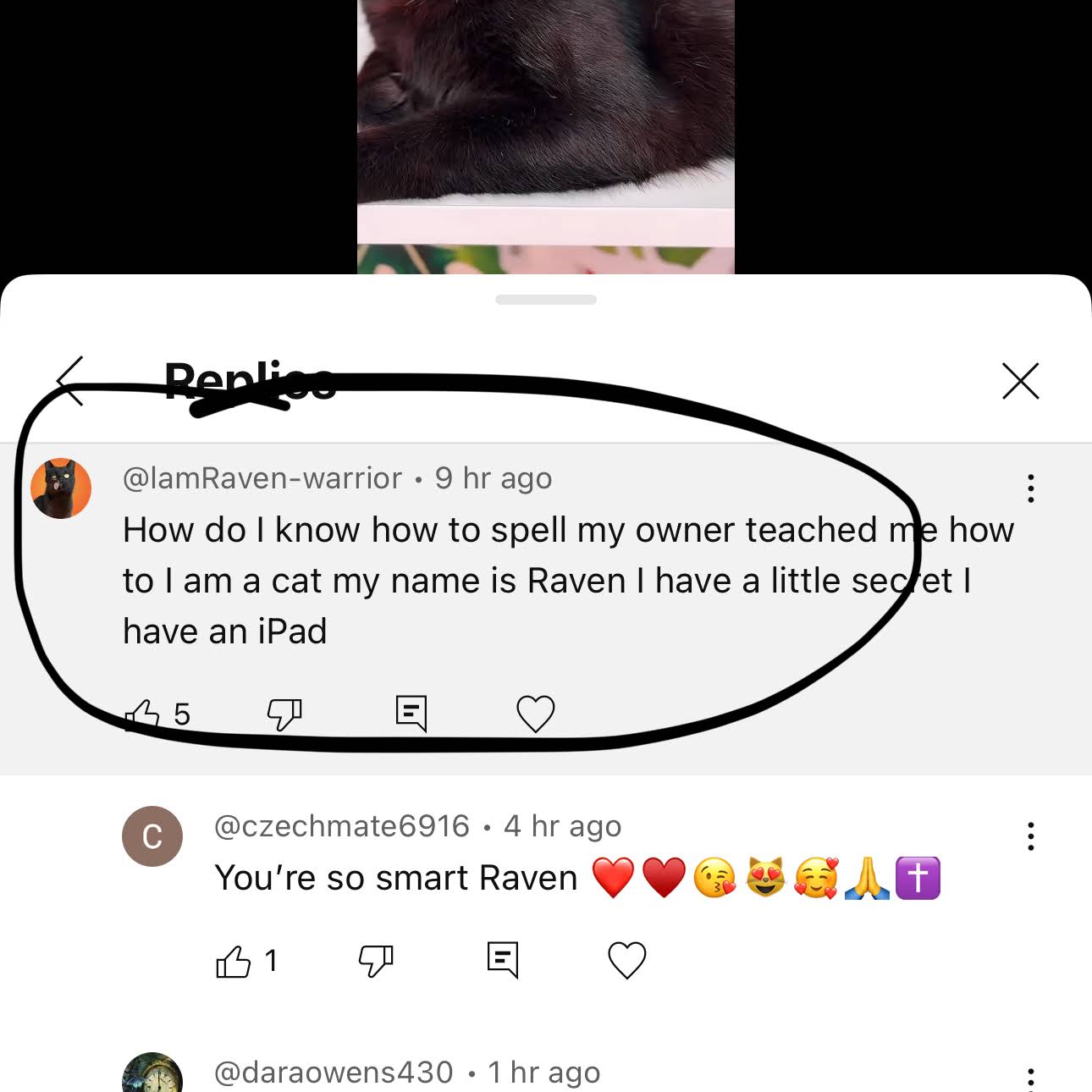 Post from I Am Raven