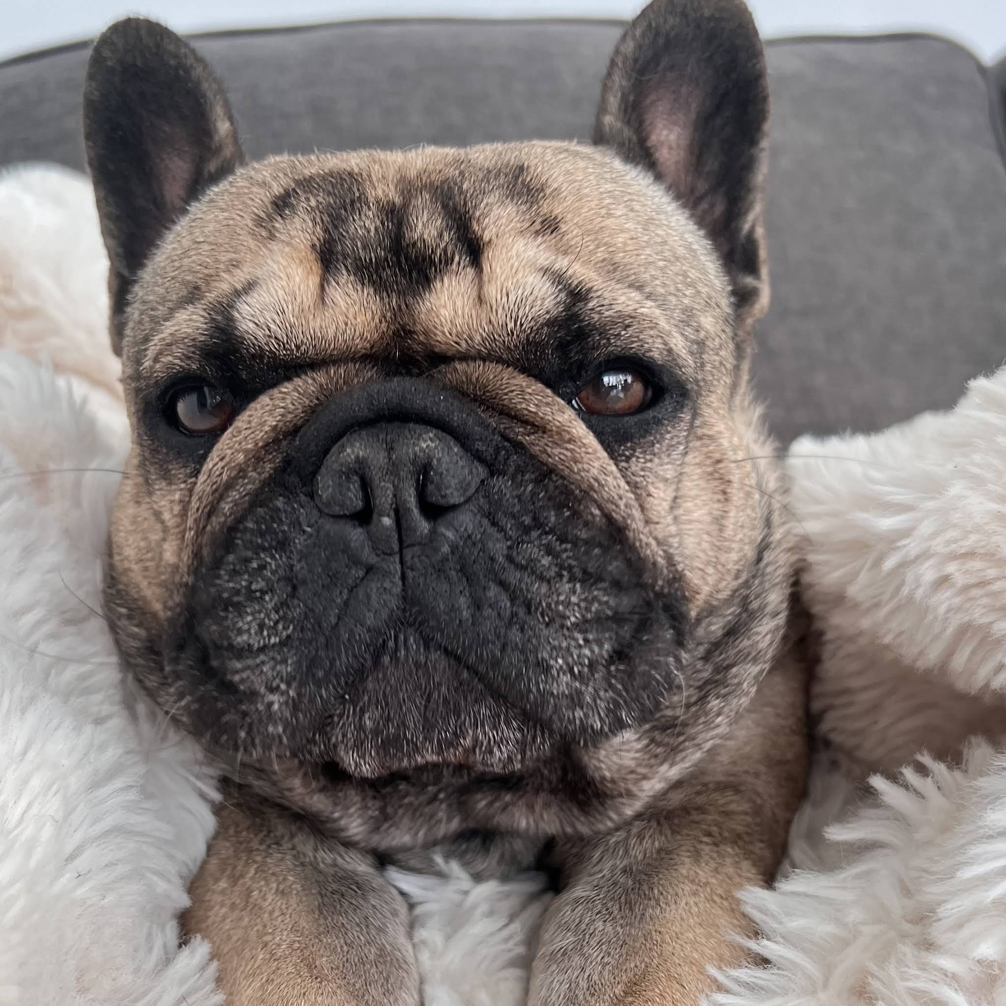 Post from Torvi, Lagertha, Harald and Astrid Smith