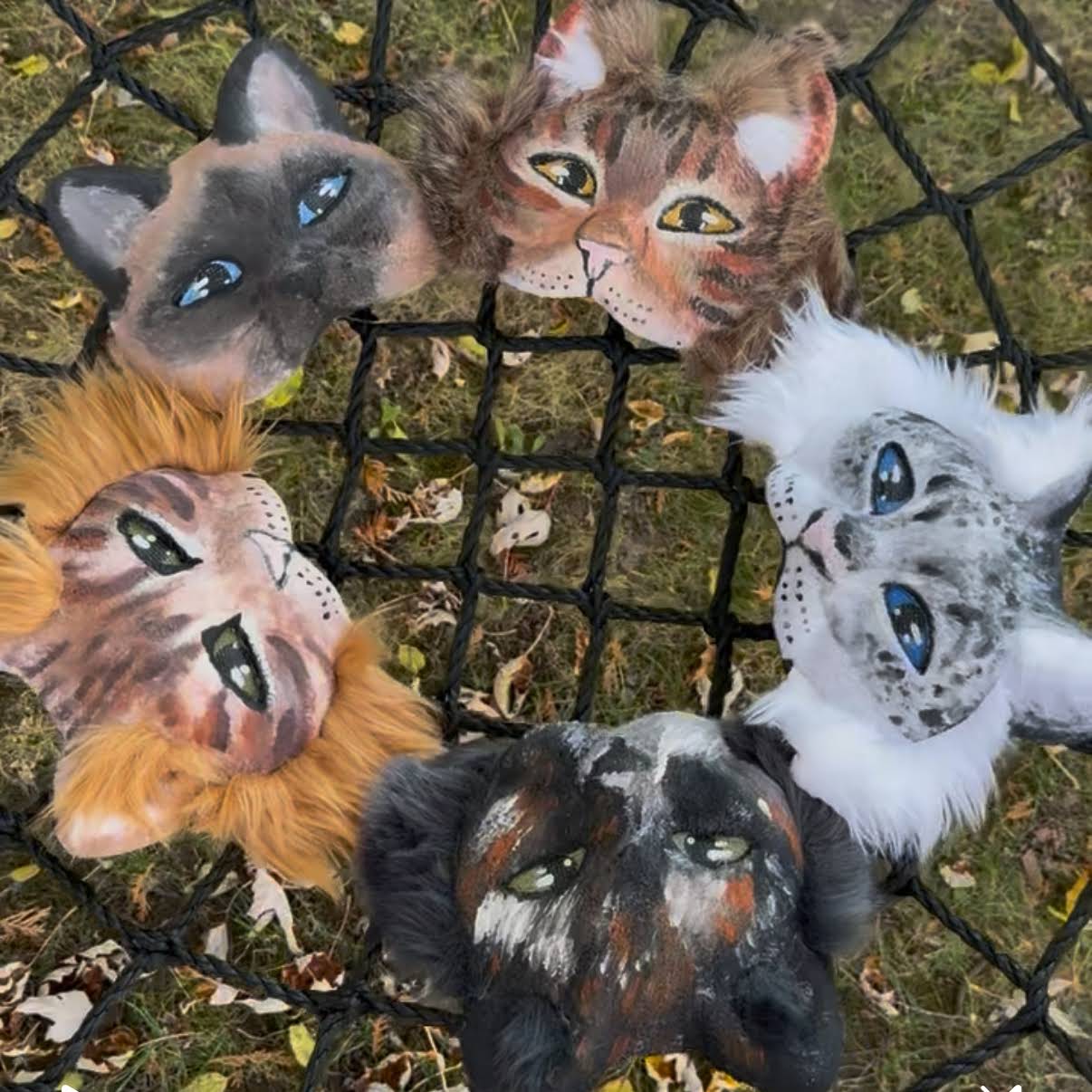 Post from BirdyDogs