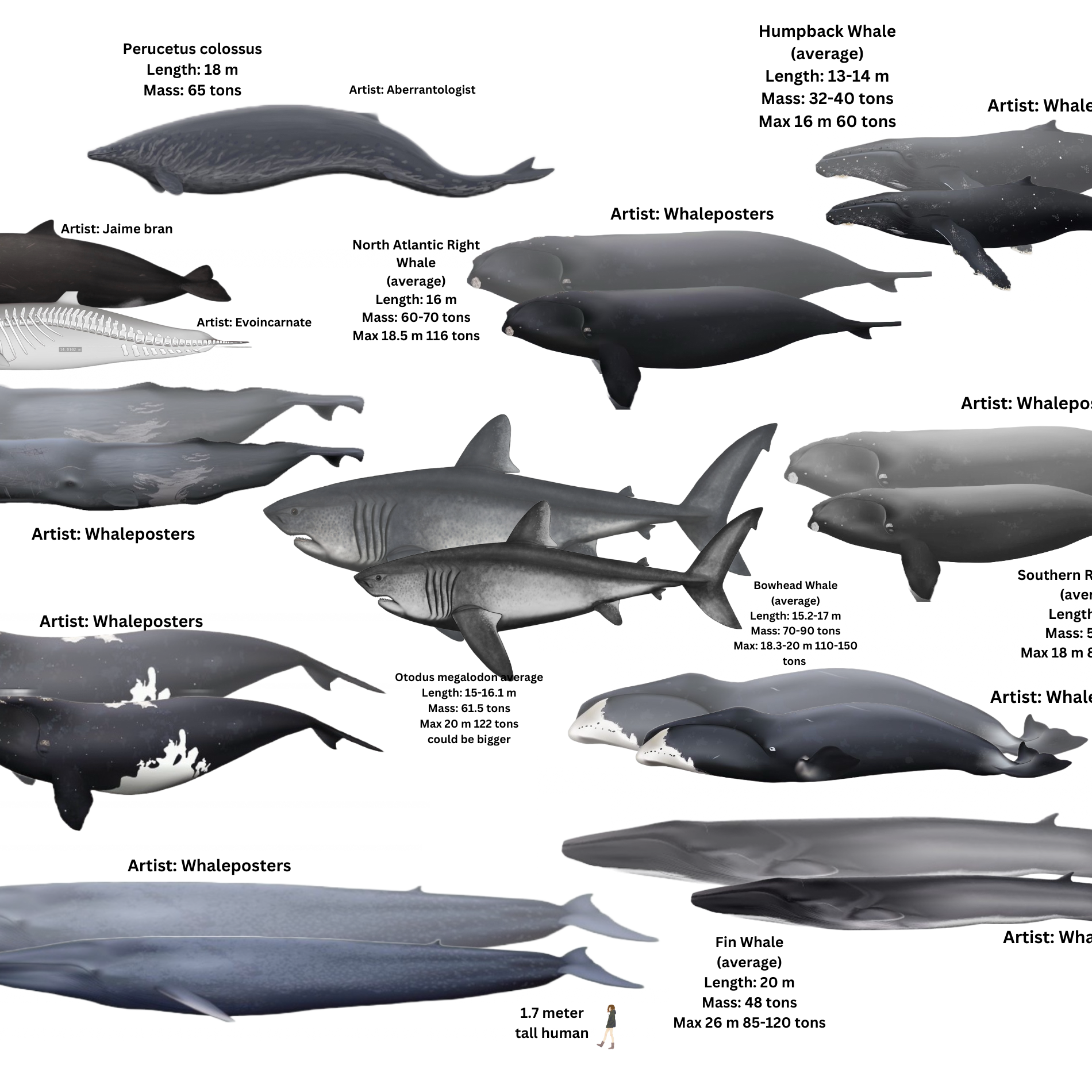 Post from Dizzy Rose