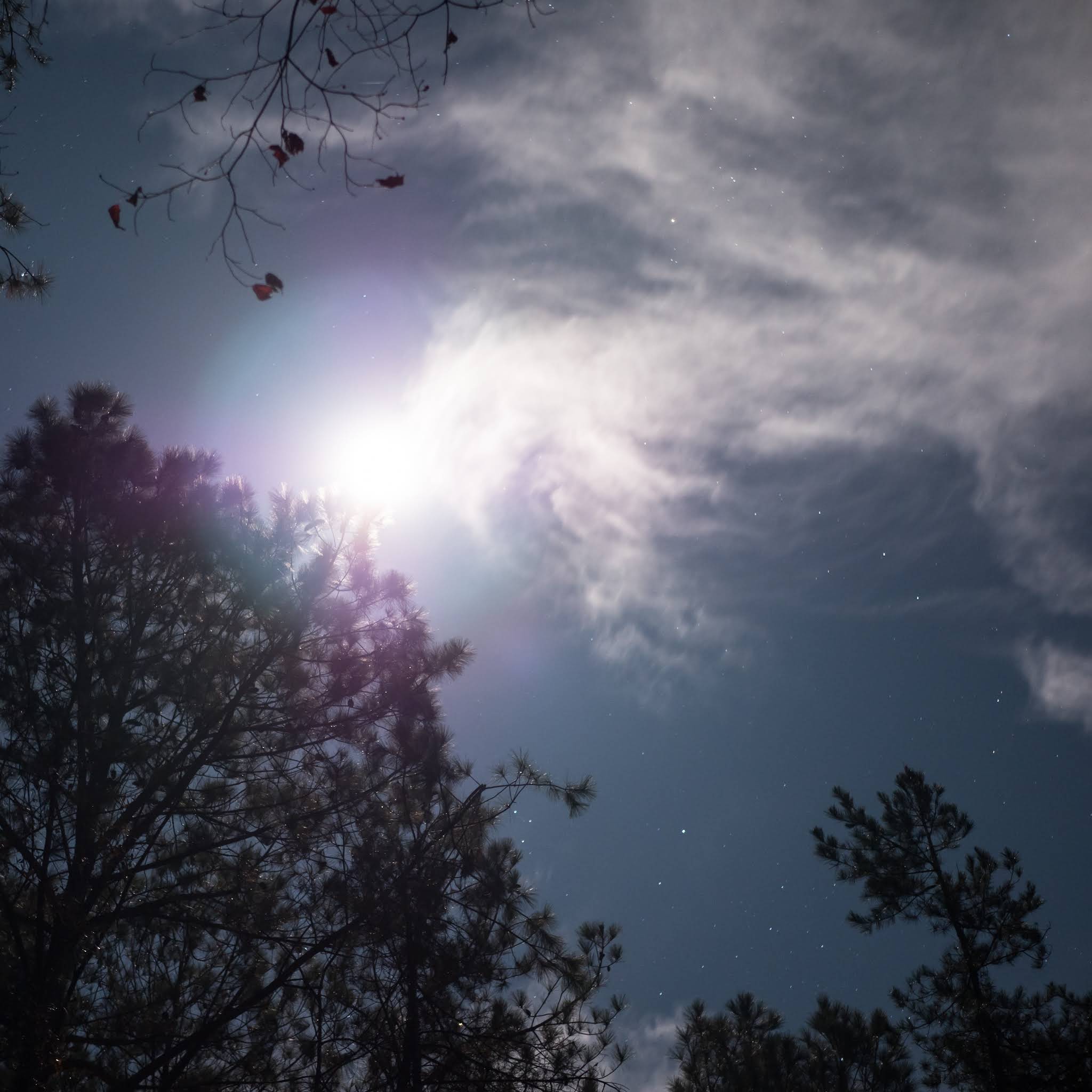 Post from Full Spectrum Survival