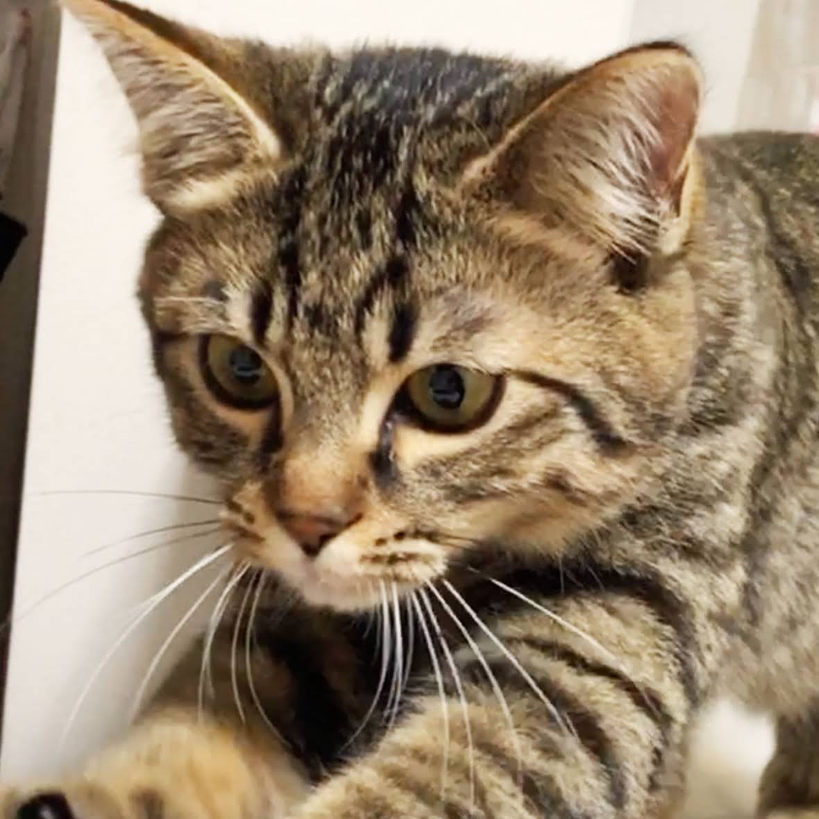 Post from Samoji & Hotane 's Daily Life