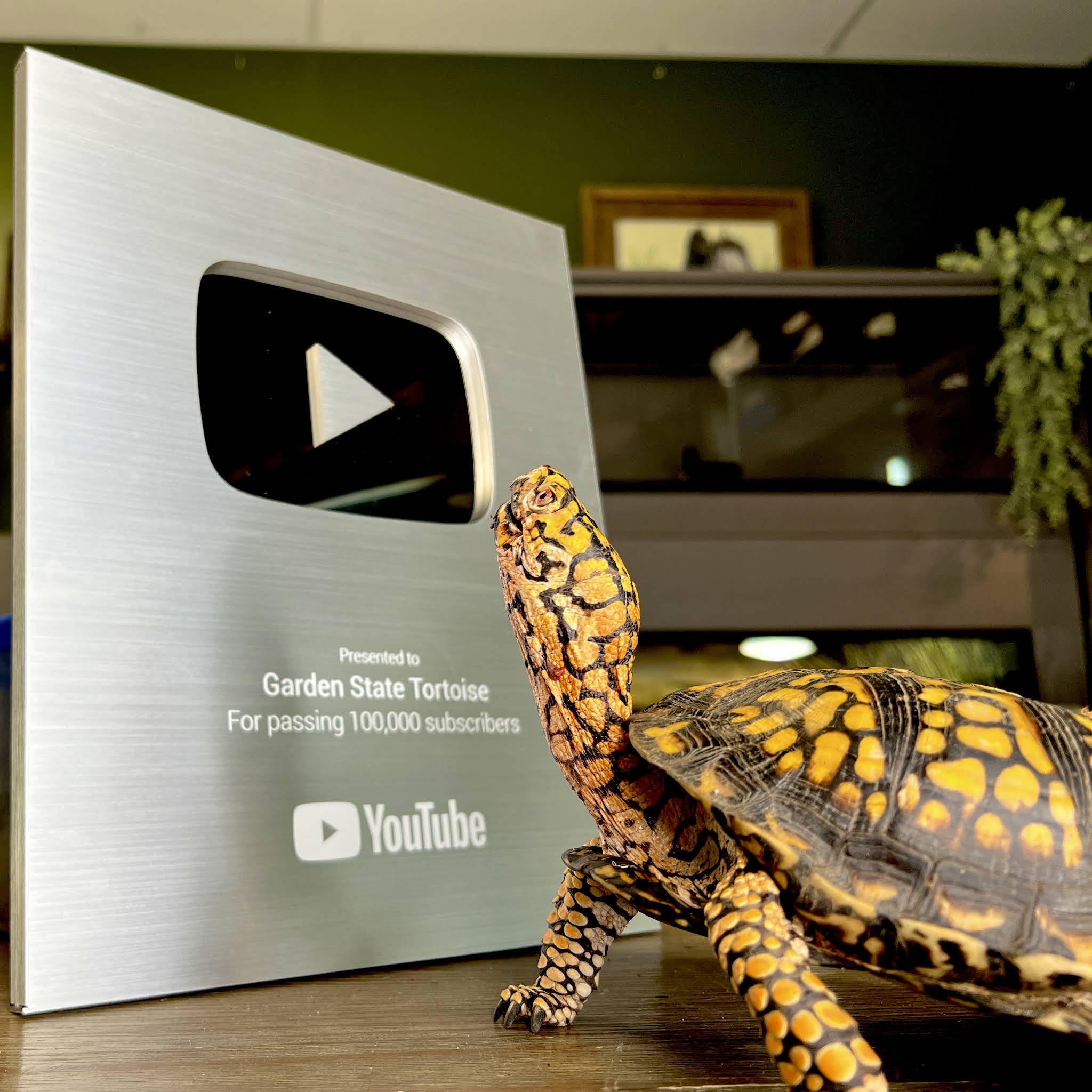 Post from Garden State Tortoise