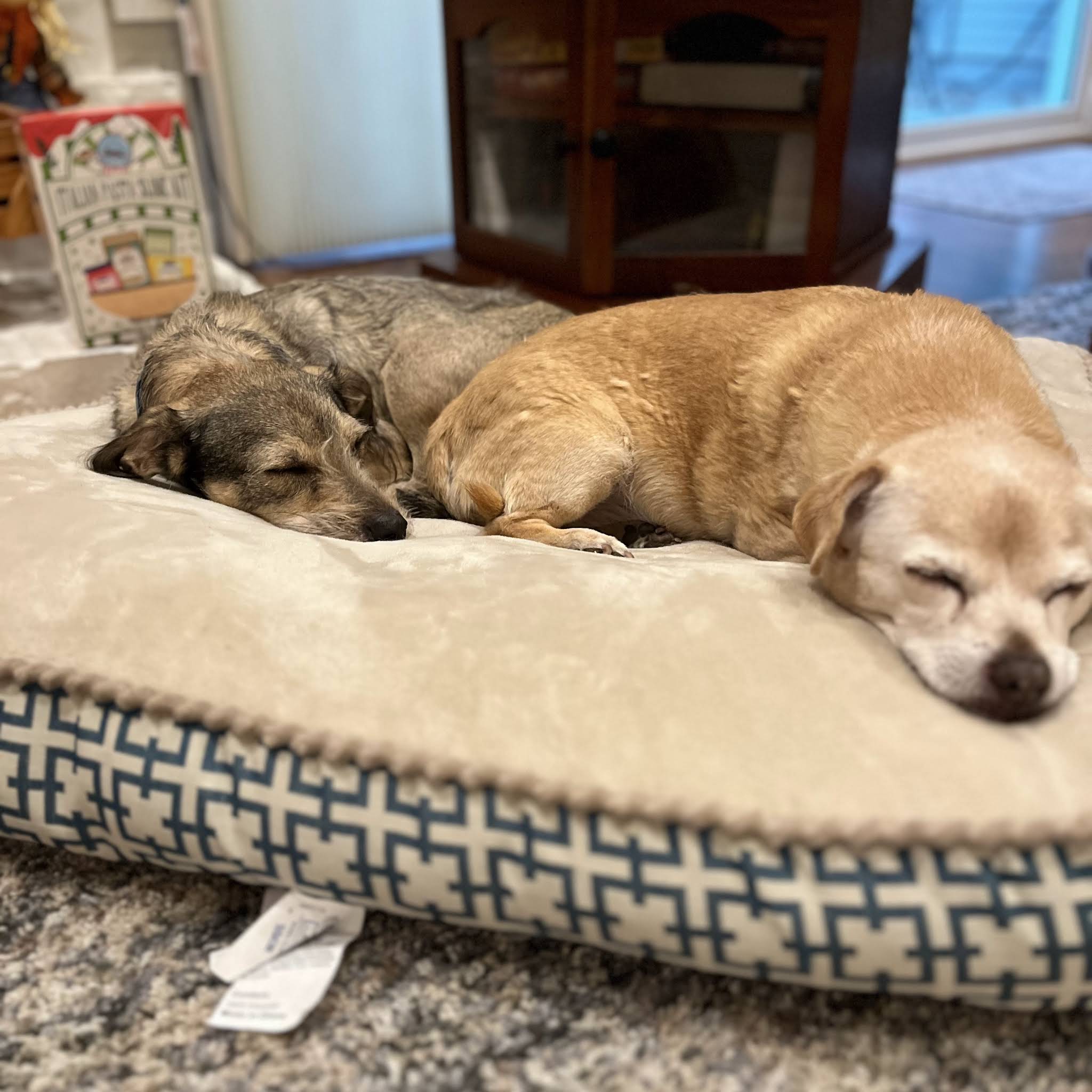 Post from Mason_Rodriguez