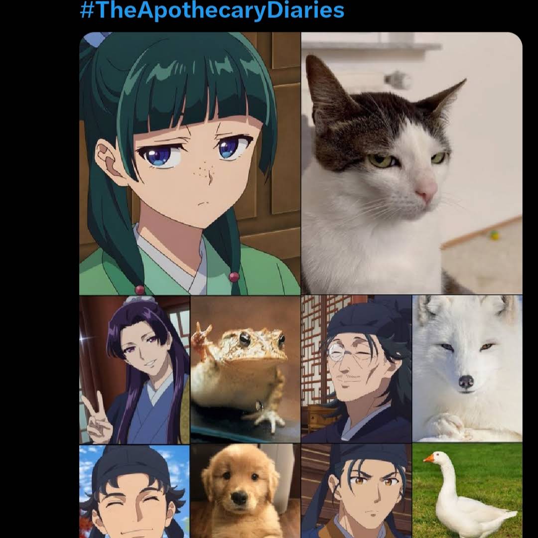Post from ANIME ONAMI OFFICIAL