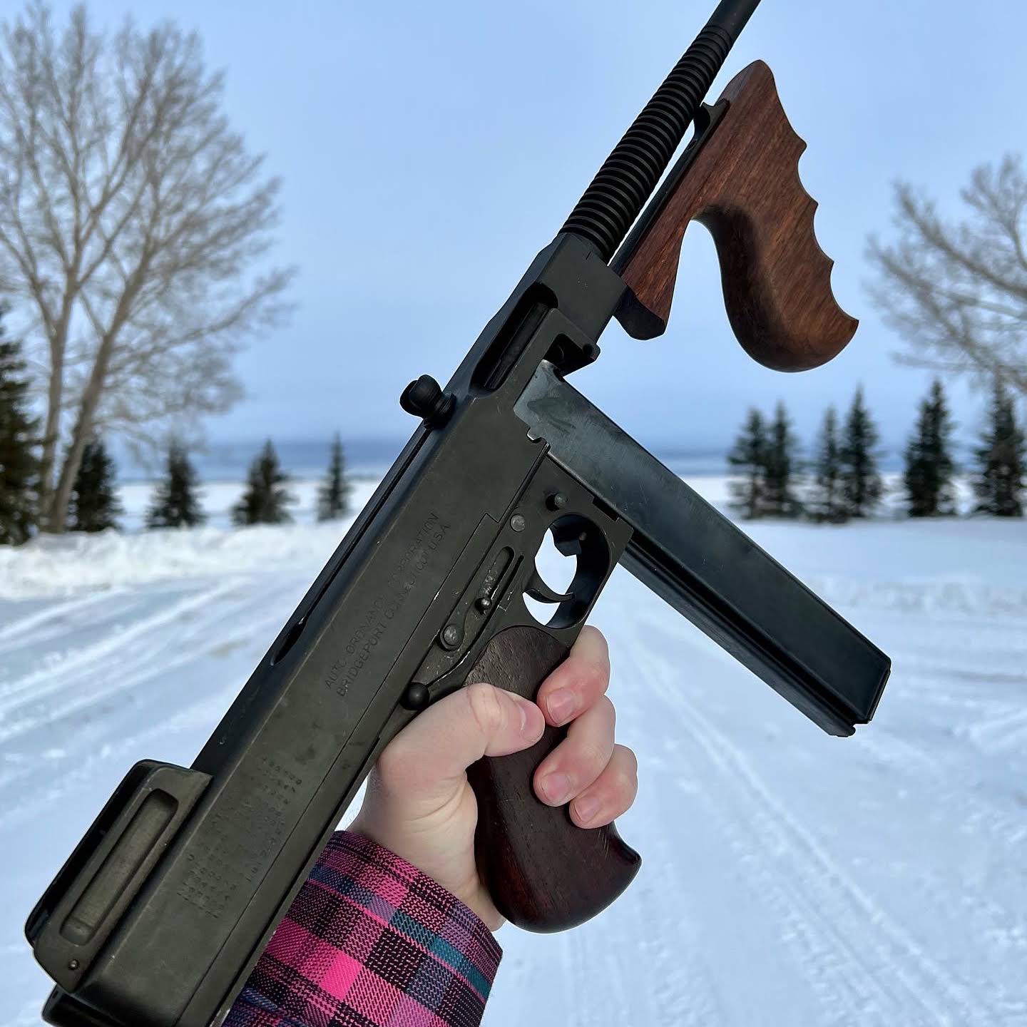 Post from Arm&Gun