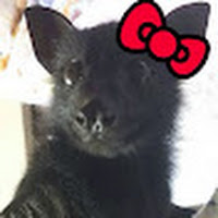 Post from Efi