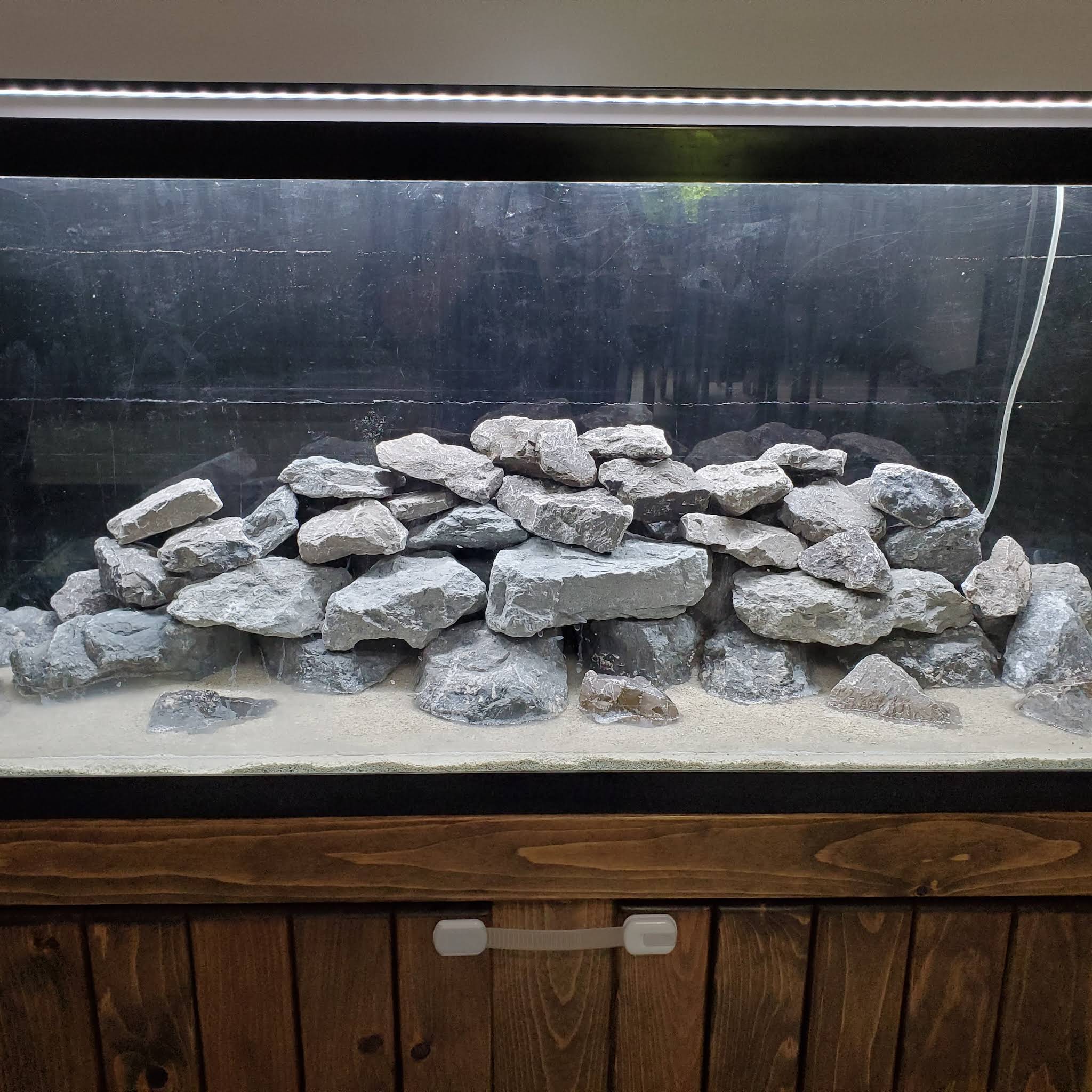 Post from The Fish Nerd