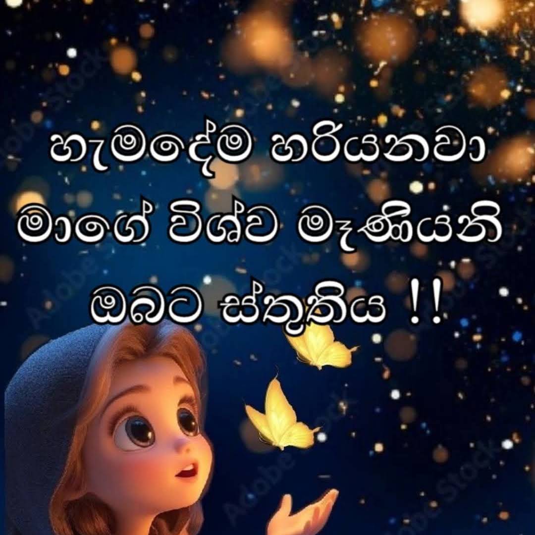 Post from Ayale 1111
