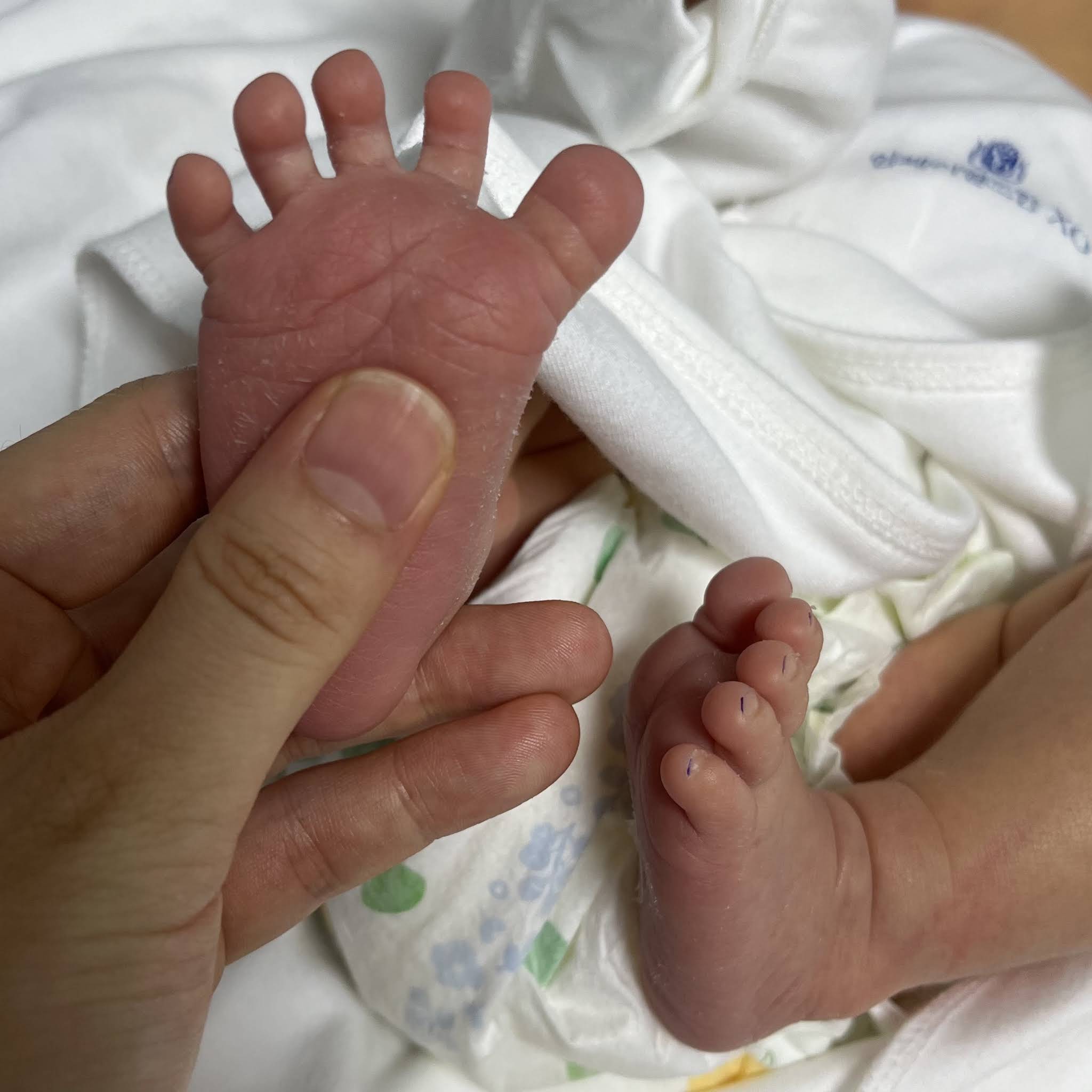 Post from 부지런한 팥쥐 Potzy