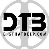 Poll from Dig That Beep