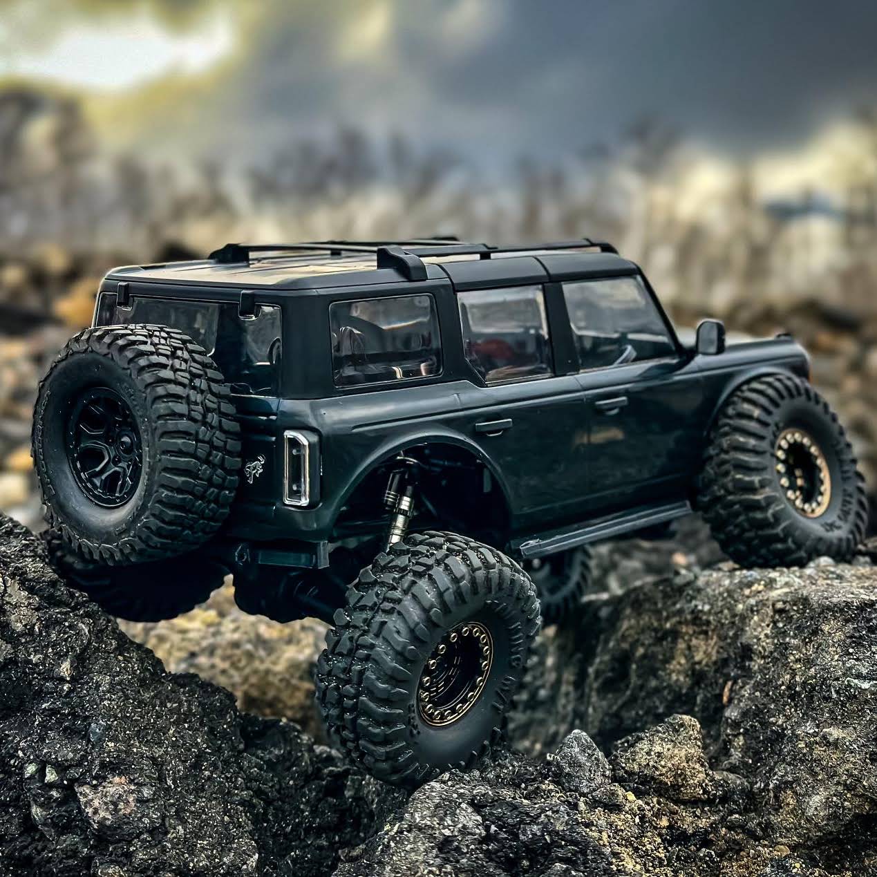 Post from Cape Crawlers