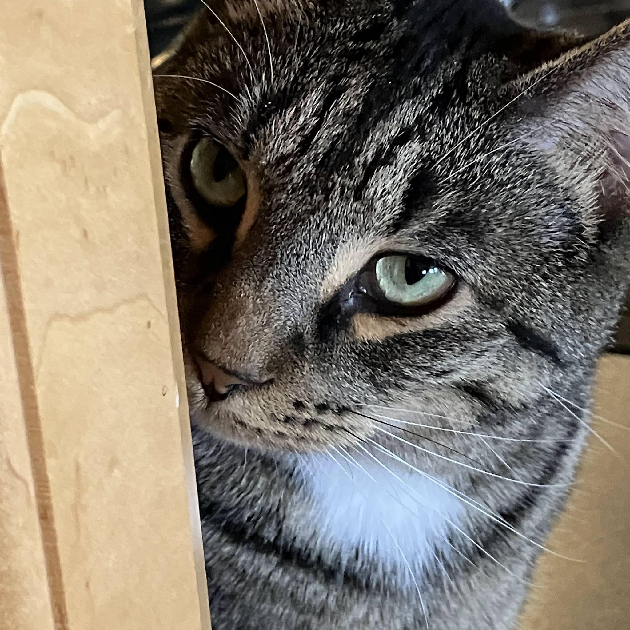 Post from Gina Maria Colvin Hill