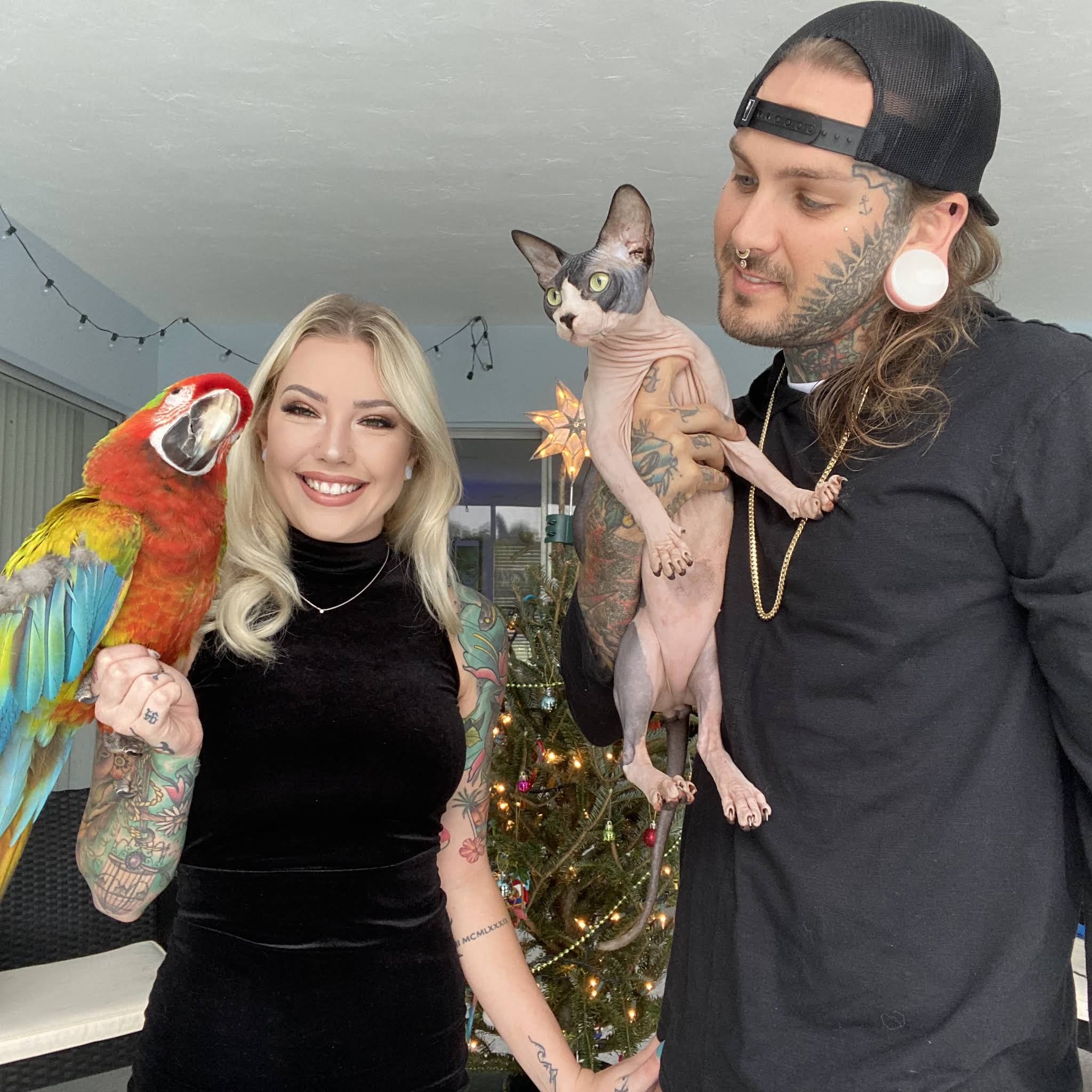 Post from Tyler Nolan