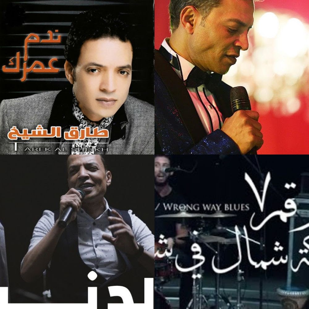 Tarek El-Sheik