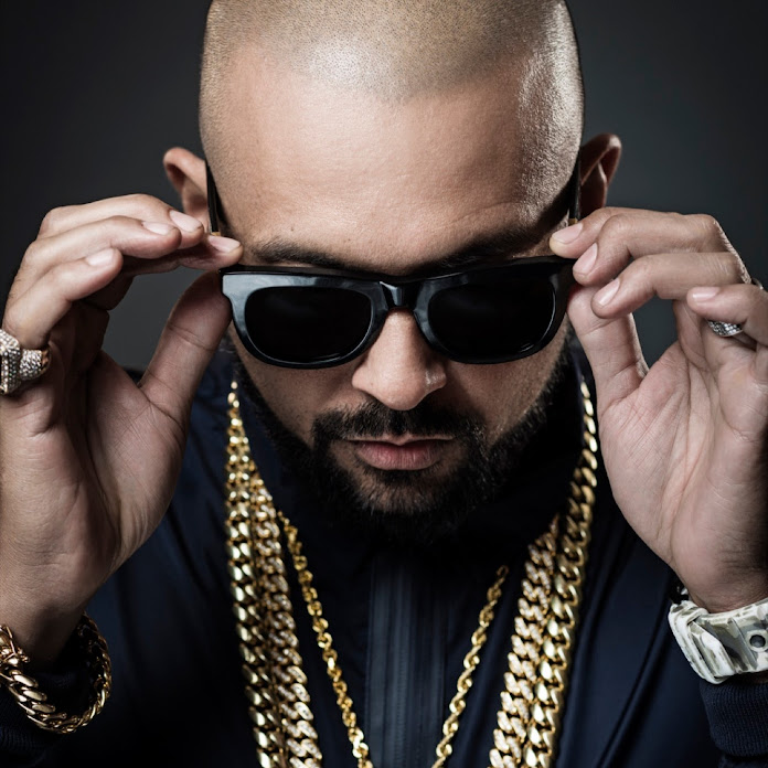 Sean Paul Net Worth Earnings 2022 