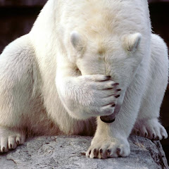 GEORGE DENGの年収・収入や登録者数などのデータと評判（クチコミ） - YouTuber Base