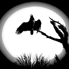 Roaming Reckless Net Worth, Income & Earnings (2024)