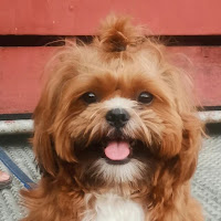 Post from Ruby Fernandez (Bie)