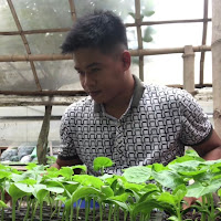 Post from Marlo Bibat Quality Vegetables
