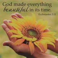 Post from Special Generation