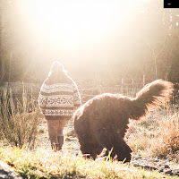 Post from Amanda Off-Grid