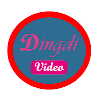 Post from Dingdi Video