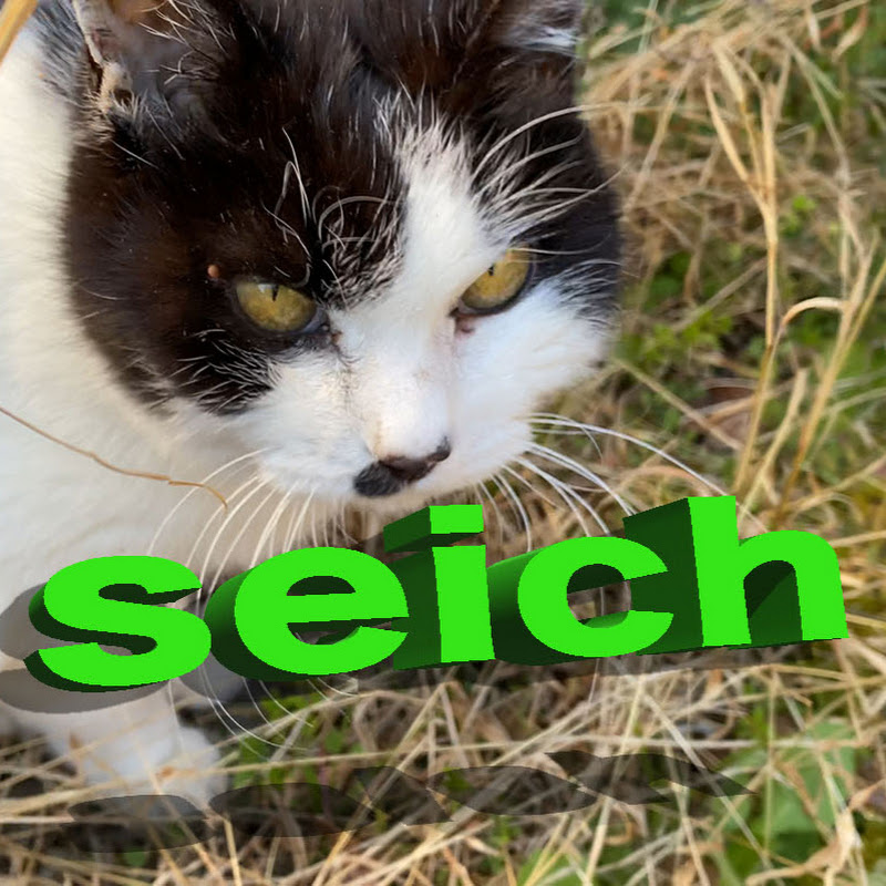 seichの人気動画｜YouTubeランキング