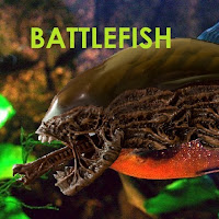 Post from BattleFish