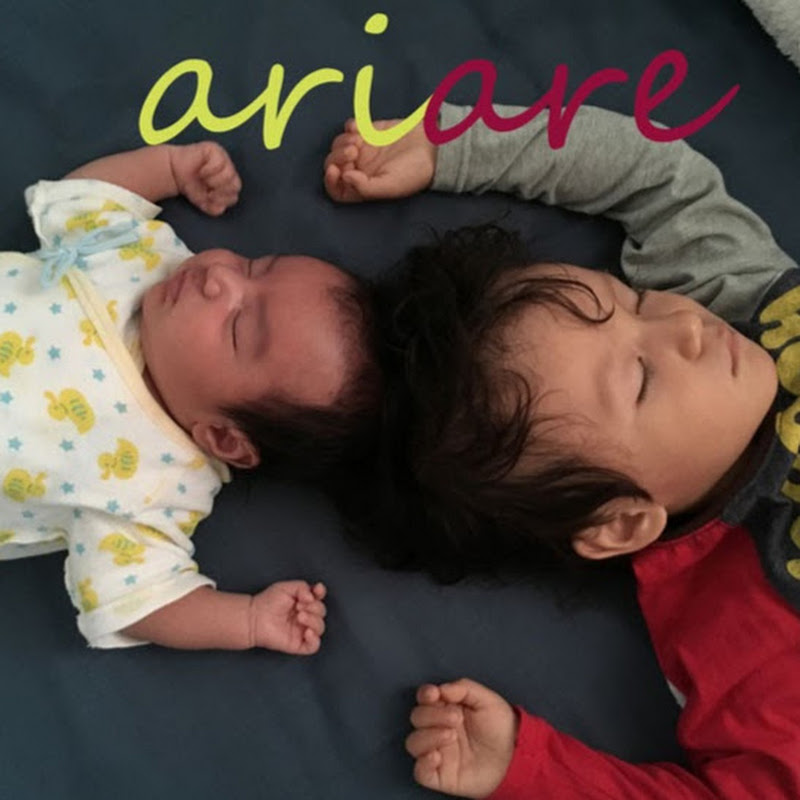 ARI&ARE CHANNEL｜YouTubeランキング