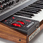 Sequential Prophet-6 Desktop Module - What To Know & Where To Buy ...