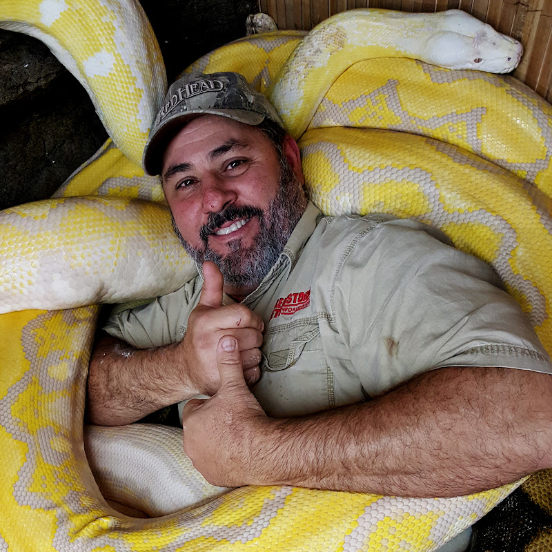 JayPrehistoricPets Net Worth & Earnings (2025)