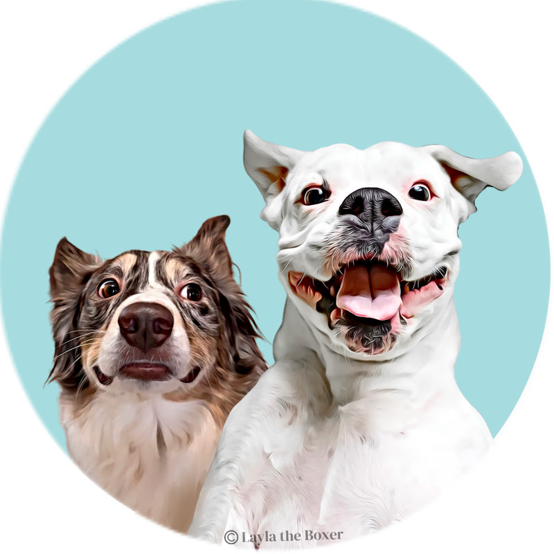 Layla The Boxer Net Worth & Earnings (2026)